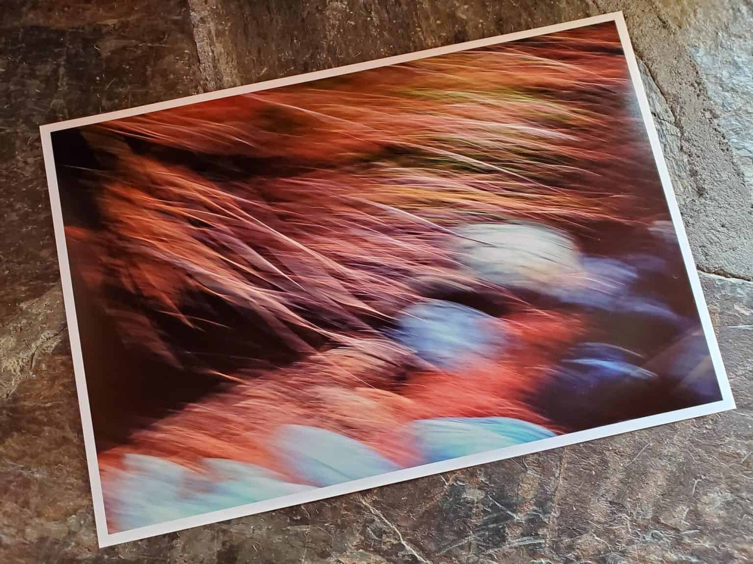 New Zealand ICM Photography Retreat Images - Lesley Whyte Photographer ...